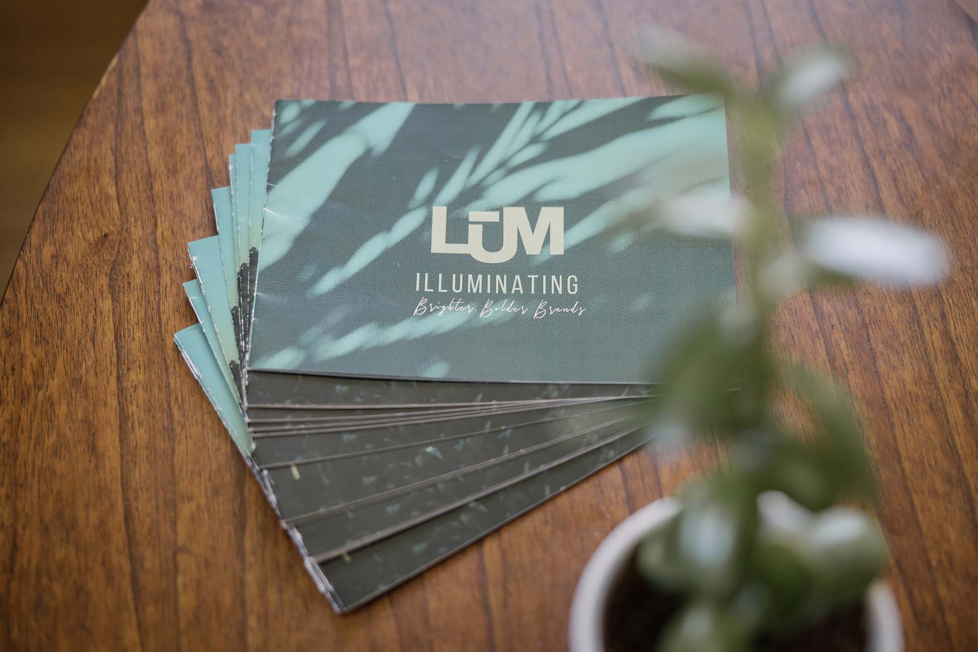 About Us - LŪM Studio